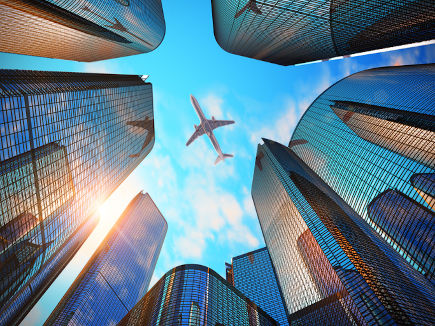 Pearl Couriers – Pearl Couriers